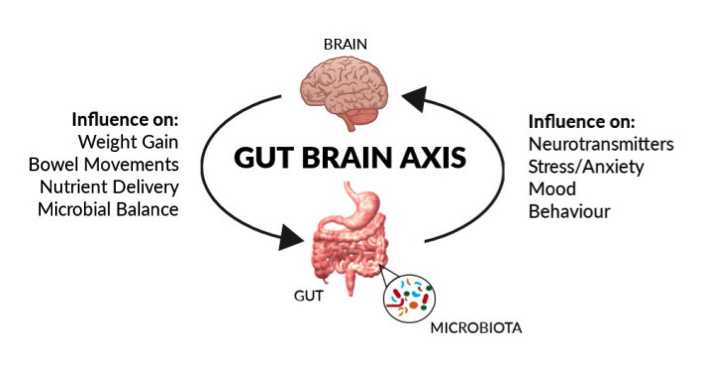 Probiotics The Gut Brain Connection Healthy Eating Active Living™